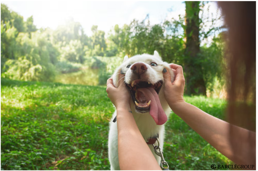 Hosting Pet Owners? Here's What Spring Guests Expect in 2025 | Barclé Group
